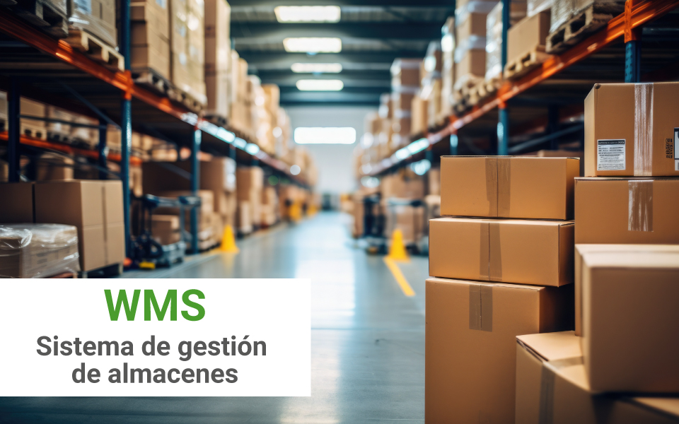 WMS: ¿Qué es y por qué es importante para tu negocio?